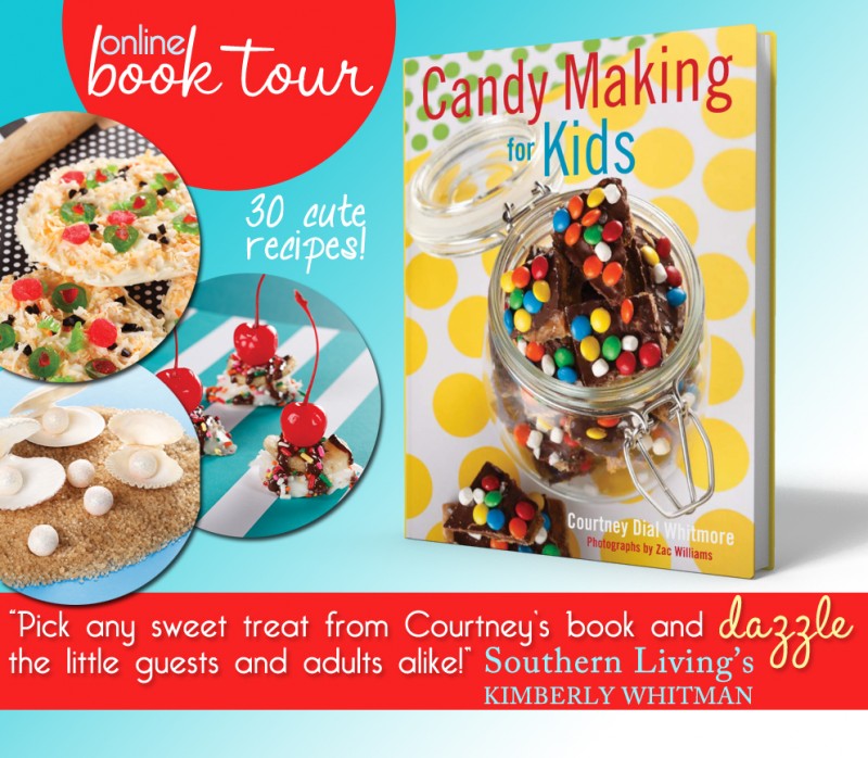 (giveaway) candy making for kids book - See Vanessa Craft