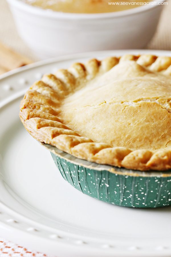Recipe: Homemade Applesauce and Pot Pies - See Vanessa Craft