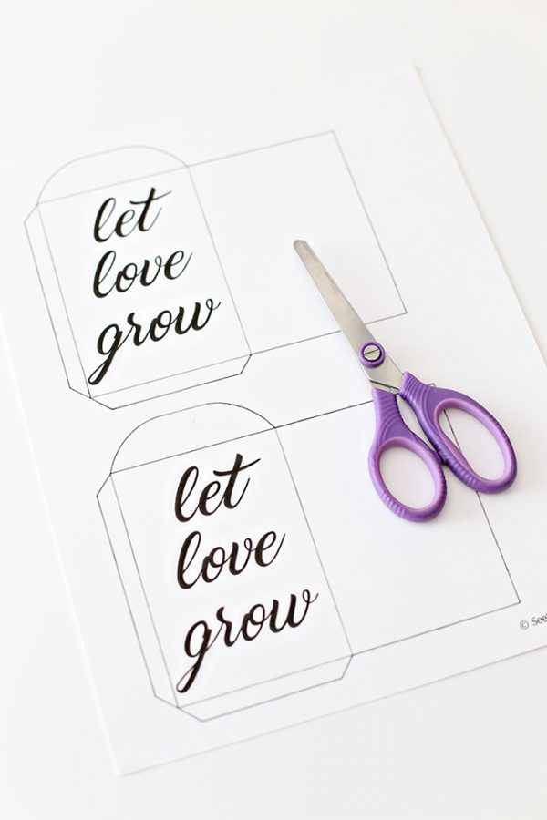 Printable: Let Love Grow Seed Packets - See Vanessa Craft