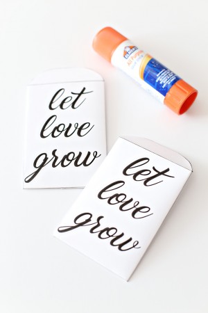 Printable: Let Love Grow Seed Packets - See Vanessa Craft