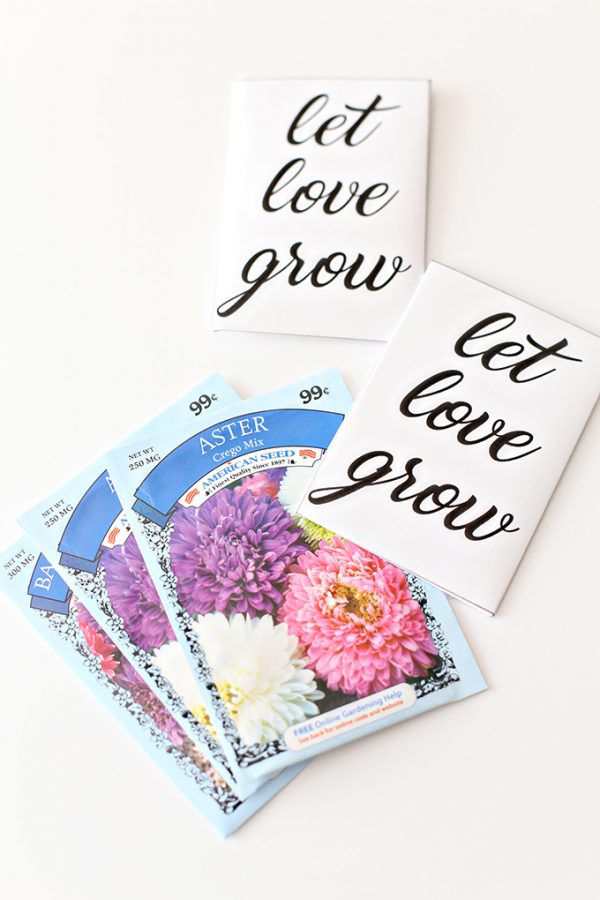 Printable: Let Love Grow Seed Packets - See Vanessa Craft