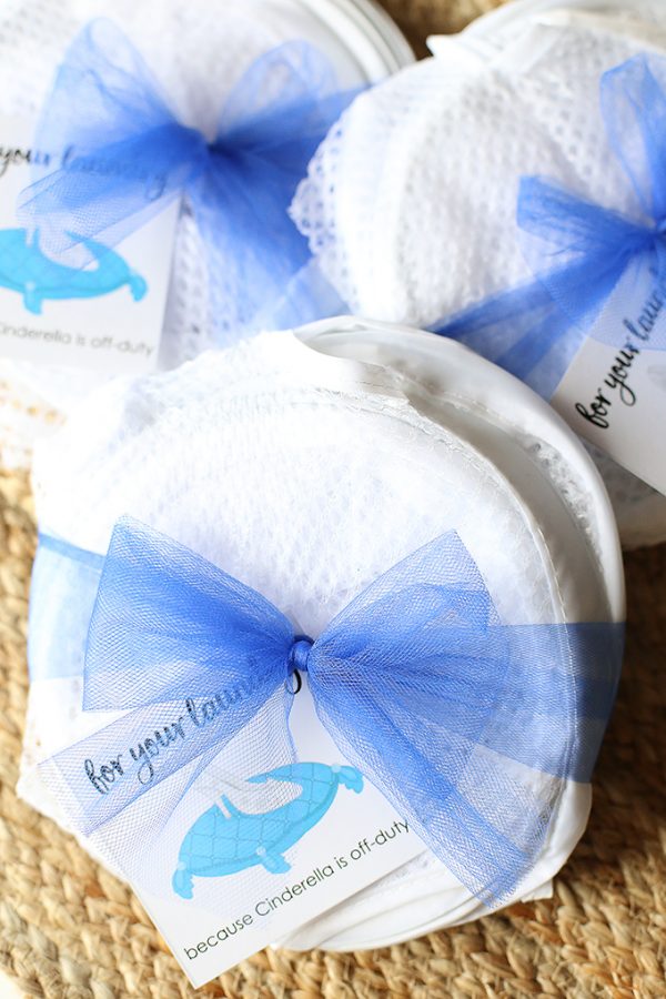 Disney Cruise: Fish Extender Gift Ideas - See Vanessa Craft
