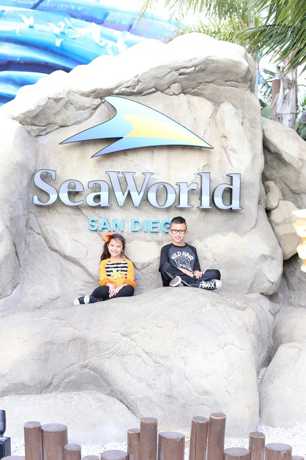 Travel: 9 Things To Do in SeaWorld for Halloween - See Vanessa Craft