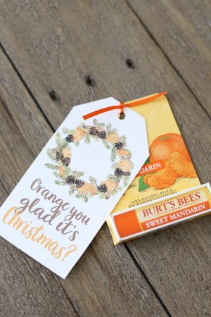 Orange Themed Holiday Gift Idea - See Vanessa Craft