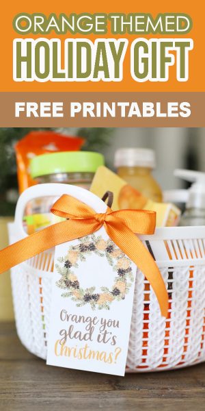 Orange Themed Holiday Gift Idea - See Vanessa Craft